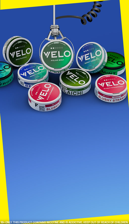 Velo Pakistan | Oral Nicotine Pouches – VELO Pakistan