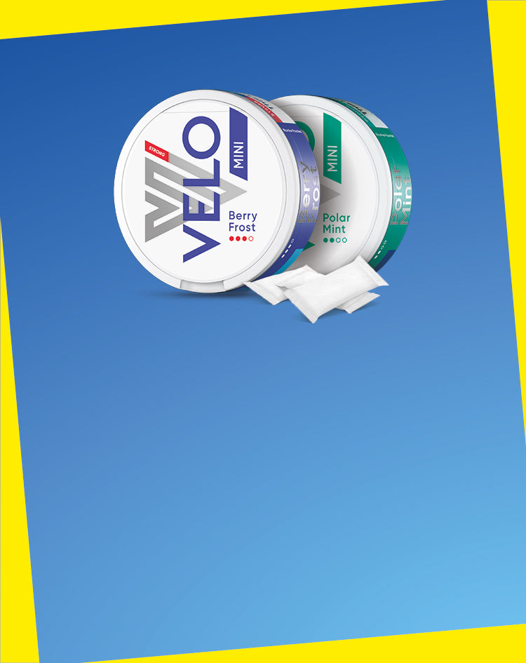 Velo Pakistan | Oral Nicotine Pouches – VELO Pakistan