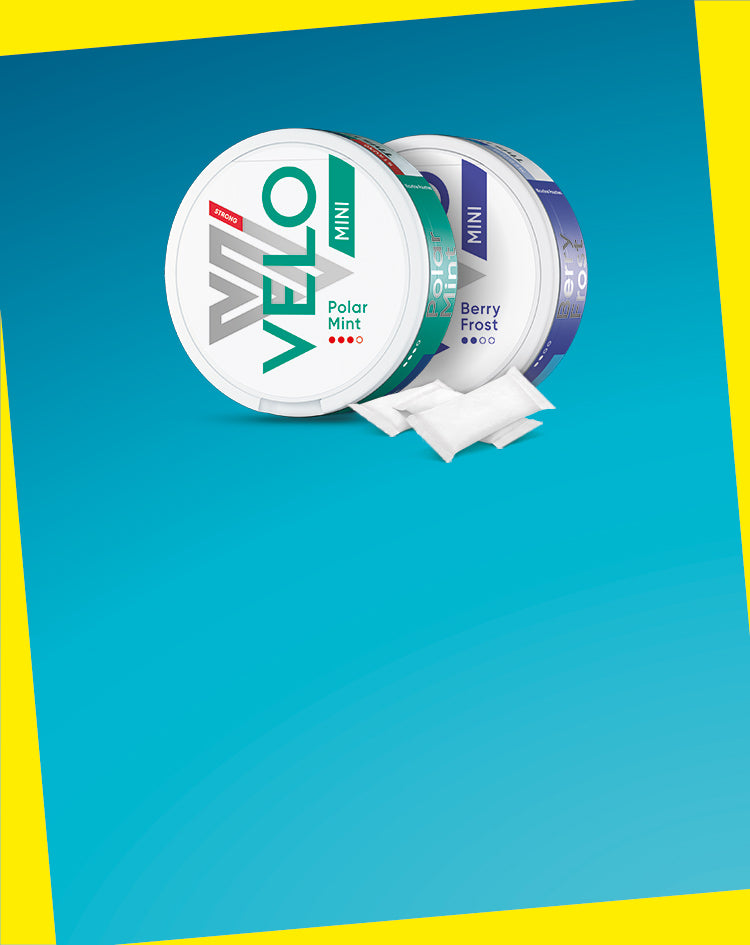 Velo Pakistan | Oral Nicotine Pouches – VELO Pakistan